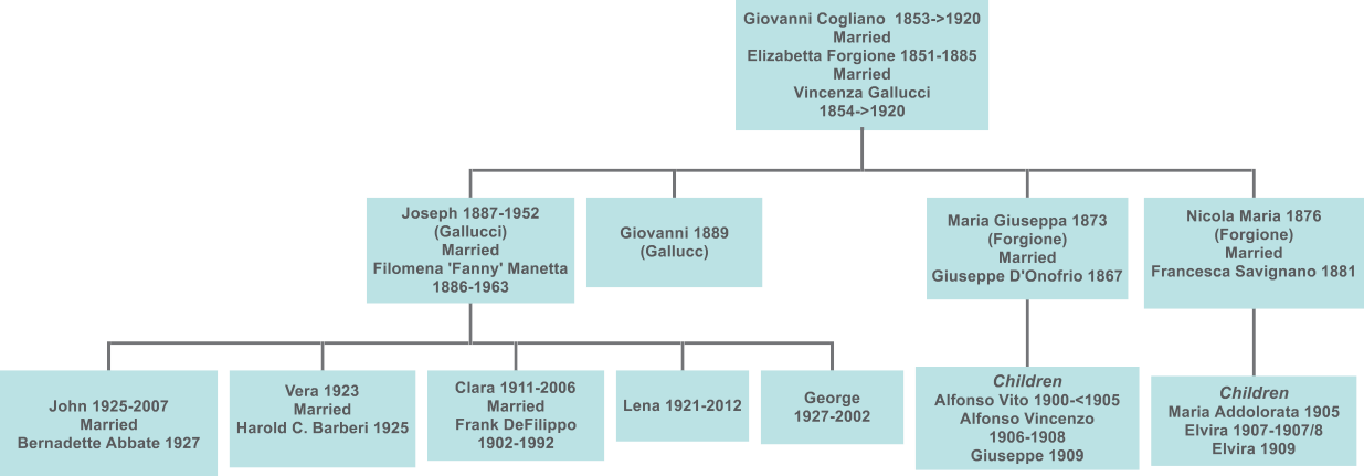 The Cogliano Ancestry – The Barbieri Families From Cerreto Sannita